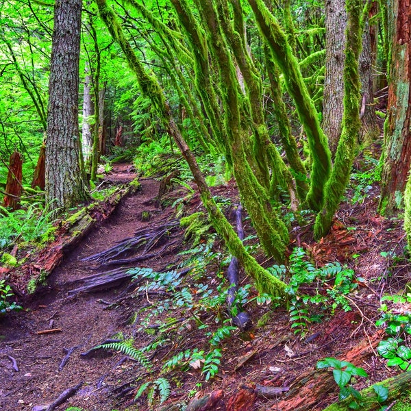 Photos at Exit 38 - Deception Crags Climbing Area - North Bend, WA