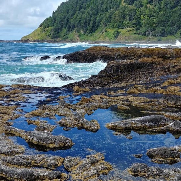 Cape Perpetua Scenic Area - 2 tips