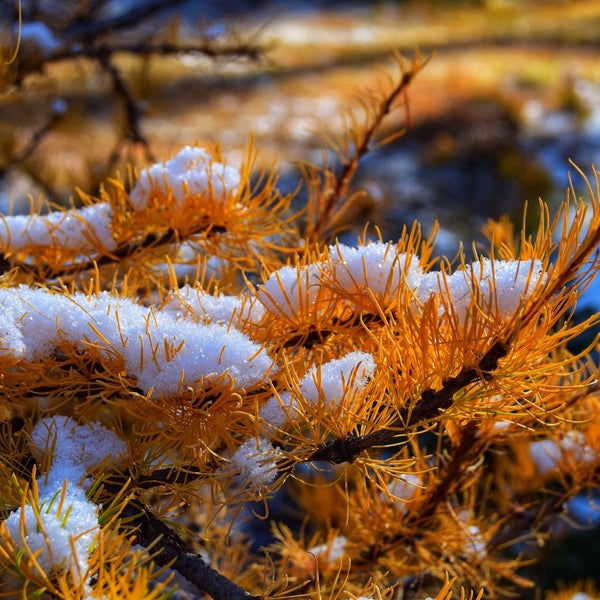 Trinity Trailhead - Trail in Leavenworth