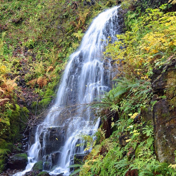 Fairy Falls - Corbett, OR