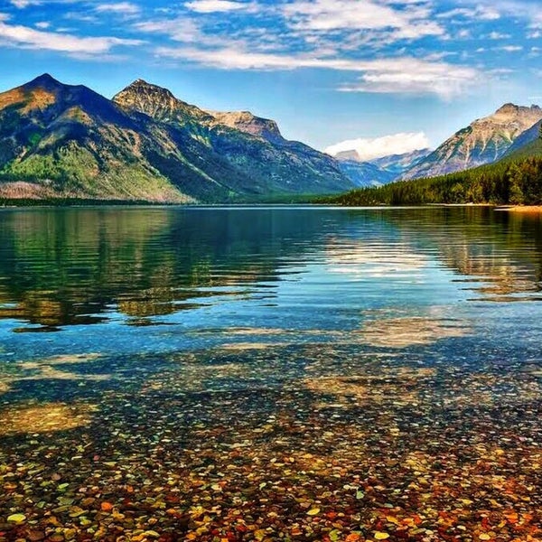 Apgar Village Visitor Center - 637 visitors