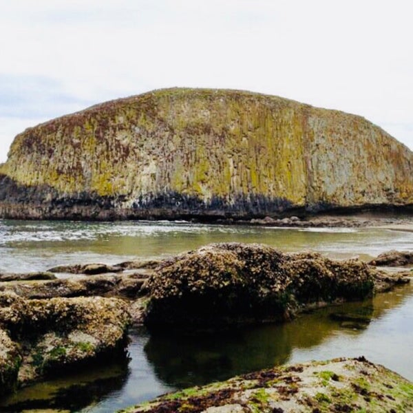Seal Rock - 113 visitors
