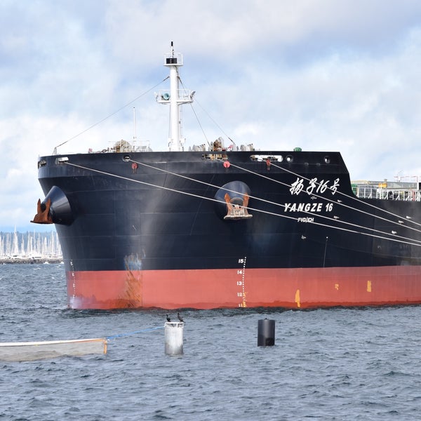 Elliott Bay Fishing Pier - Pier in Interbay