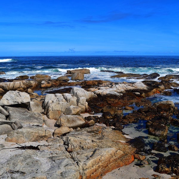 Sea Point Beach Promenade - Hiking Trail in Sea Point