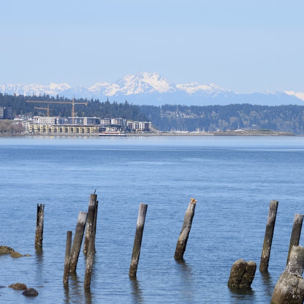 Rock On Beach - Ruston, WA