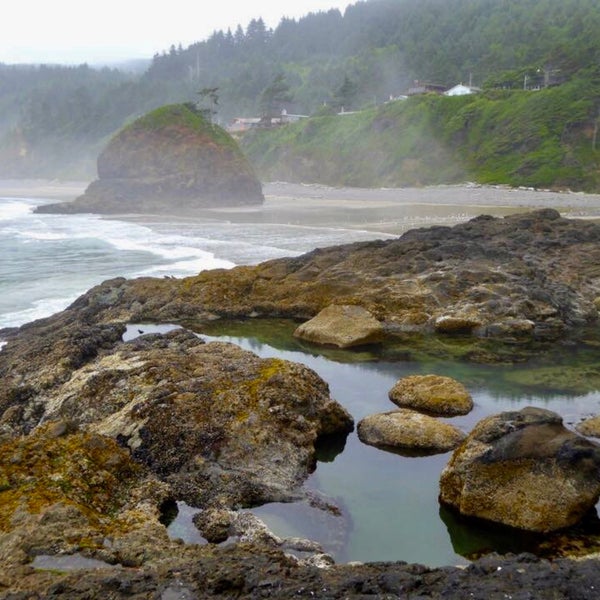 Netarts Bay Shellfish Preserve - Nature Preserve in Tillamook