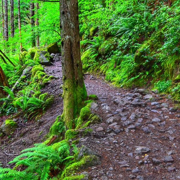 Photos at Exit 38 - Deception Crags Climbing Area - North Bend, WA