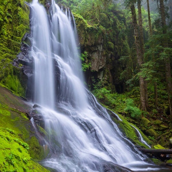 Sweet Creek Falls & Hiking Trail - Hiking Trail