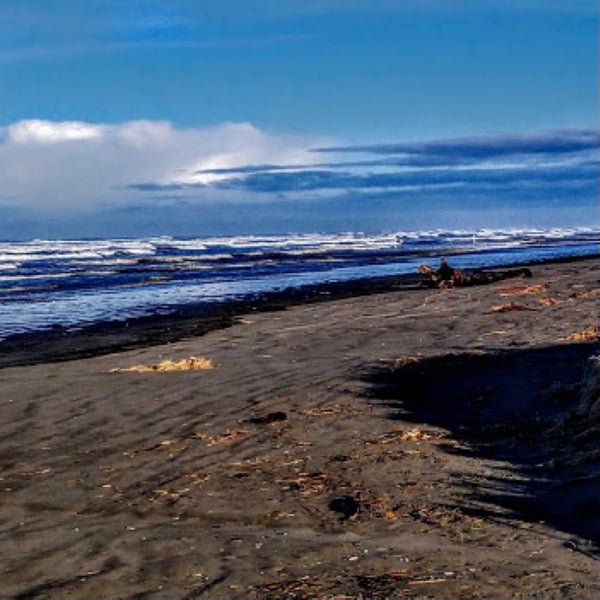 Photos at Leadbetter Point State Park - State Route 103