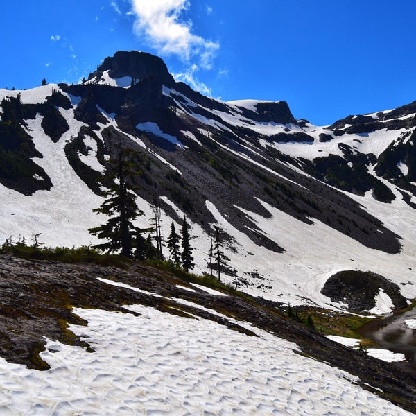 Heather Meadows Visitor Center
