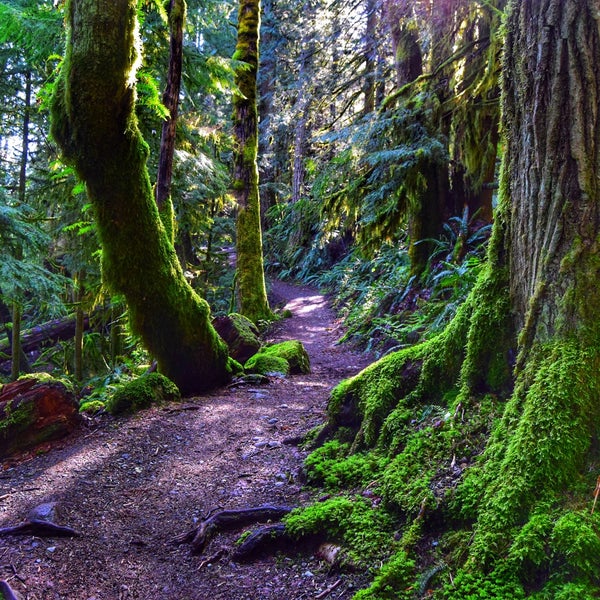 Photos at Kanaskat-Palmer State Park - State / Provincial Park