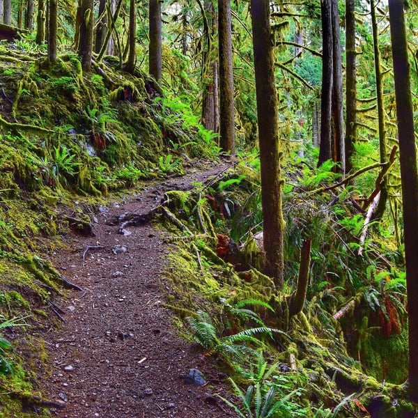 Five Mile Drive - Hiking Trail in Ruston