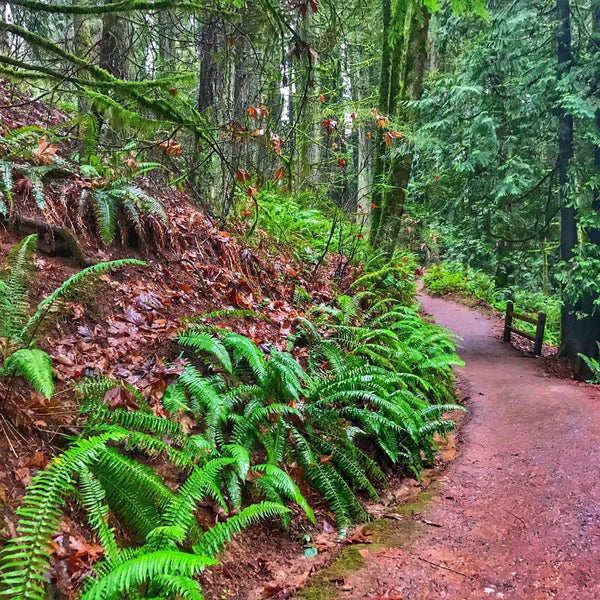 Photos at Forest Park - Wildwood Trail - 26 tips