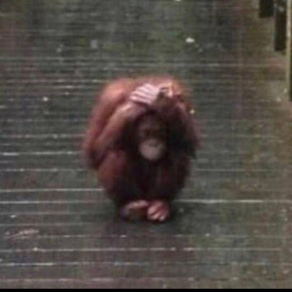 مدرسة الخبر لقيادة السيارات | Khobar Driving School - Khobar, الشرقية