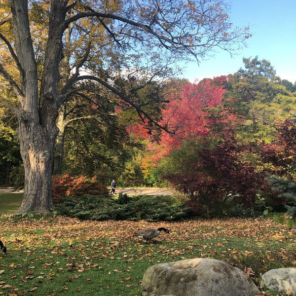 Springbank Park - Park in Byron