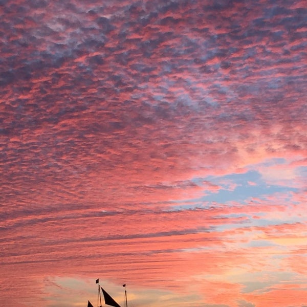 Adams Stadium - 4 tips from 485 visitors