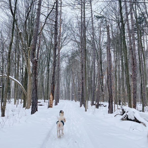 Metroparks North Chagrin Reservation - 18 tips from 989 visitors