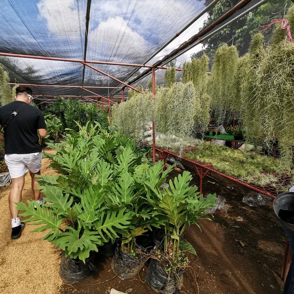 Barangay Pulong Bunga, Silang - 7 visitors