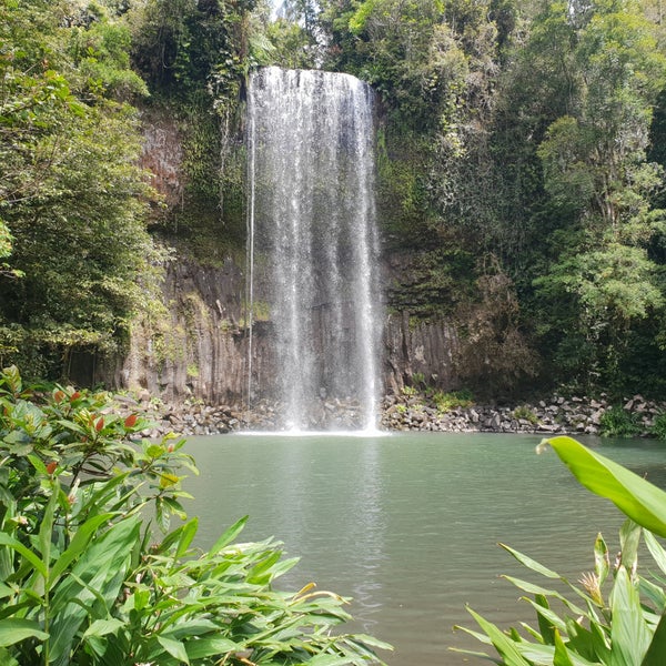 Millaa Millaa Falls - Waterfall