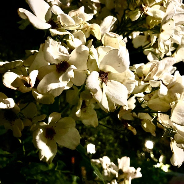 Seattle University - First Hill - Seattle, WA