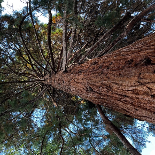 Leschi Park - Leschi - Seattle, WA