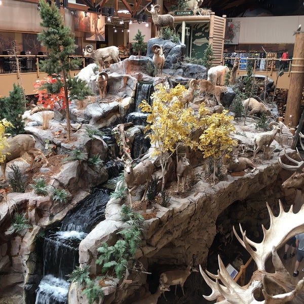 Cabela's - Sporting Goods Retail
