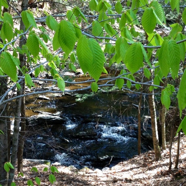 Hop River State Park Trail Covered Bridge - Andover, CT
