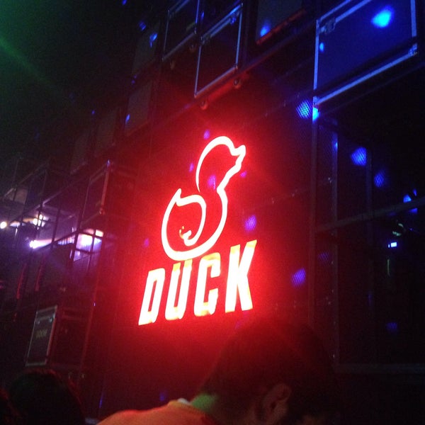 DUCK - Nightclub