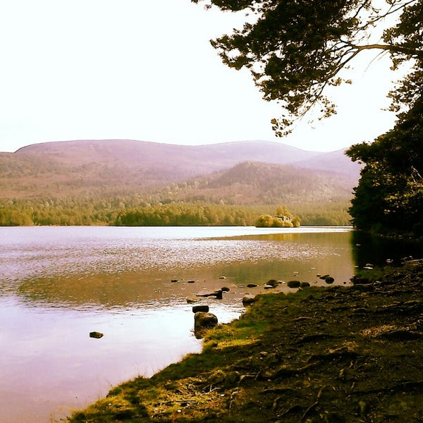 Loch An Eilean - 4 tips