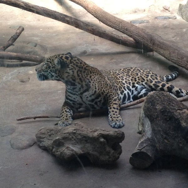 Mesker Park Zoo & Botanic Garden - Zoo in Evansville West Side