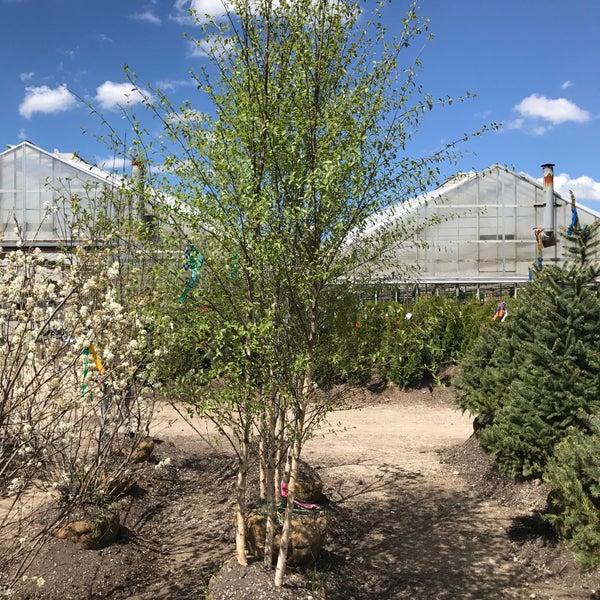 Kelly Anne Growers - Flower Store in North Ridgeville