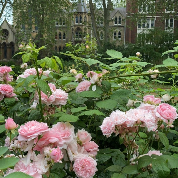 Gordon Square - Park