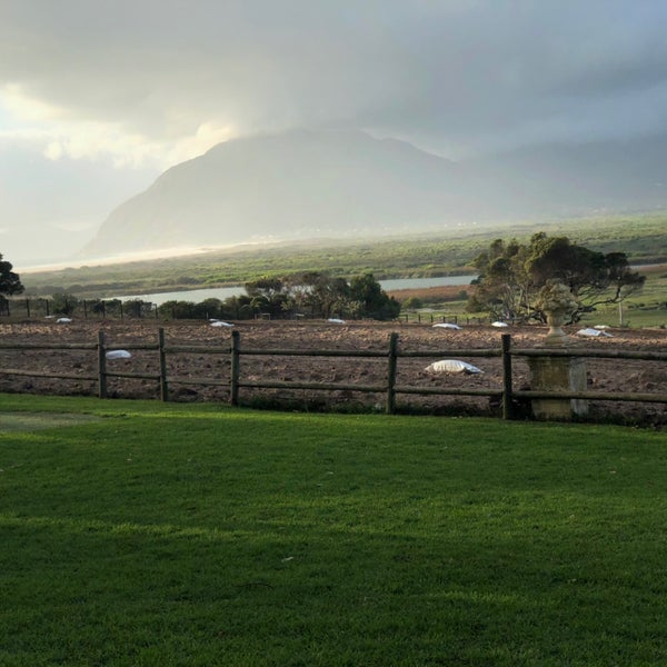 Blue Water Cafe - Kommetjie - Imhoff Farm