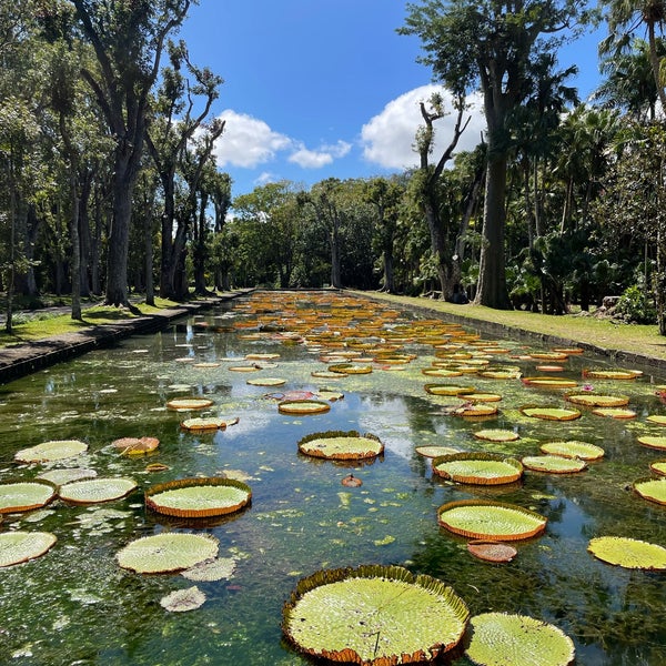 Pamplemousses - Pamplemousses, Pamplemousses District