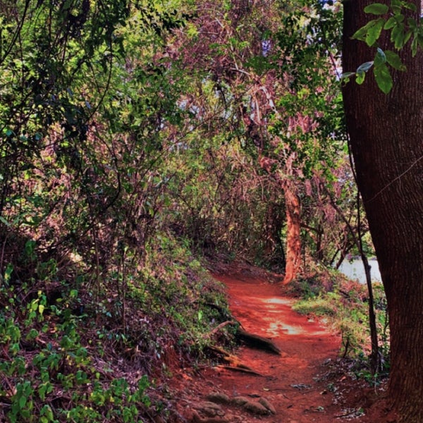 Paradise Lost - Thindigua - 6 tips from 213 visitors