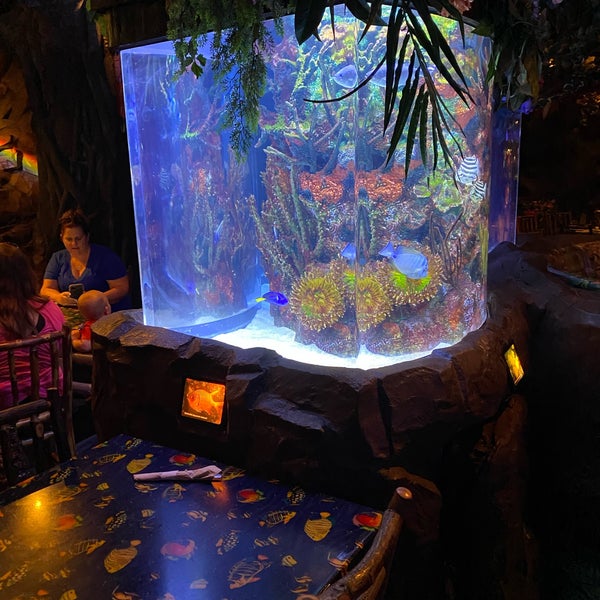 Photos at Rainforest Cafe - Sawgrass Mills - 59 tips