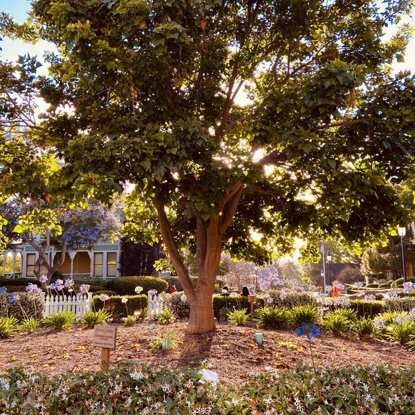 Photos at Coral Tree Tea House - Old Town - 2 tips