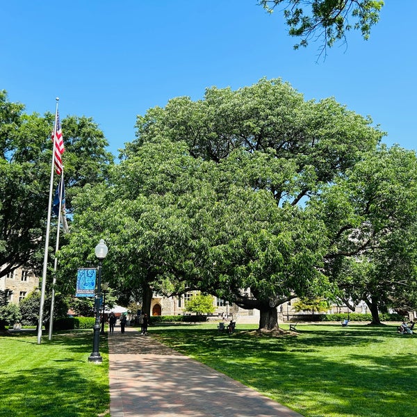 Copley Lawn - College Quad in Georgetown