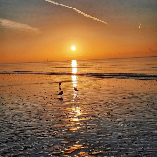Photos at Swansea Bay Beach - Beach