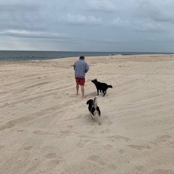 Georgica Beach - Beach