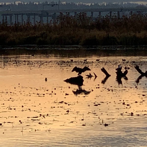 Union Bay Natural Area - University District - 5 tips