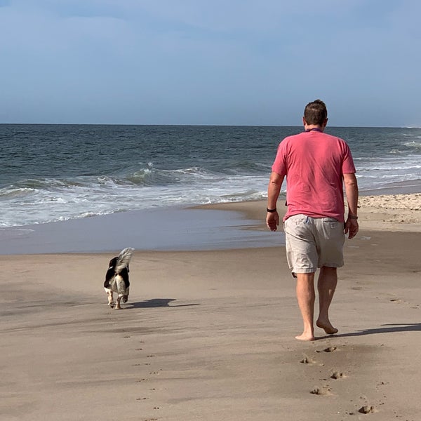 Georgica Beach - Beach