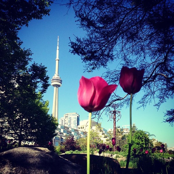 Toronto Music Garden - Harbourfront - 21 tips