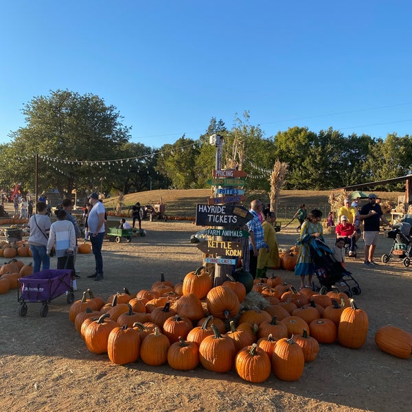 Hall Pumpkin Farm - 13 tips