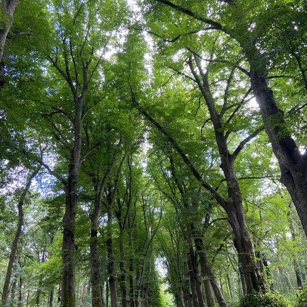 Het Groenendaalse Bos - Other Great Outdoors in Heemstede