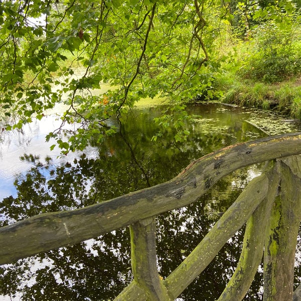 Het Groenendaalse Bos - Other Great Outdoors in Heemstede