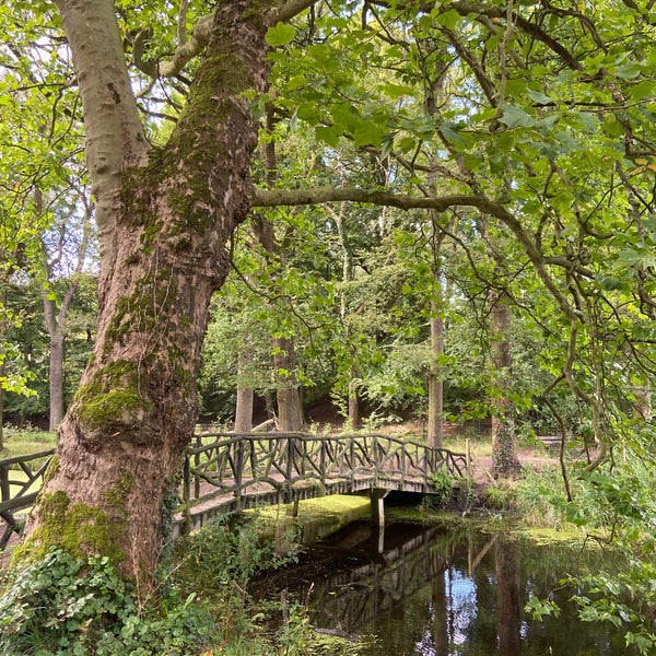 Het Groenendaalse Bos - Other Great Outdoors in Heemstede