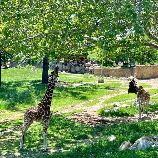 Henry Doorly Zoo and Aquarium - Zoo in Omaha