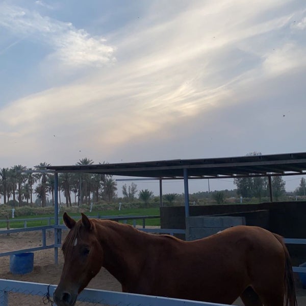 قصور ال حركان التراثية - Ad Dilam, منطقة الرياض‎