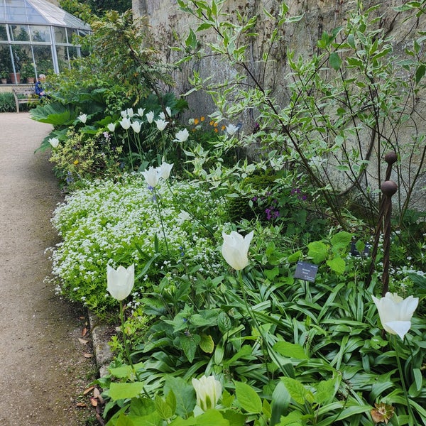 University of Oxford Botanic Garden - Rose Ln